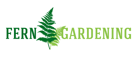 Is my fern dead? 6 critical signs, and how to know for sure – Fern ...