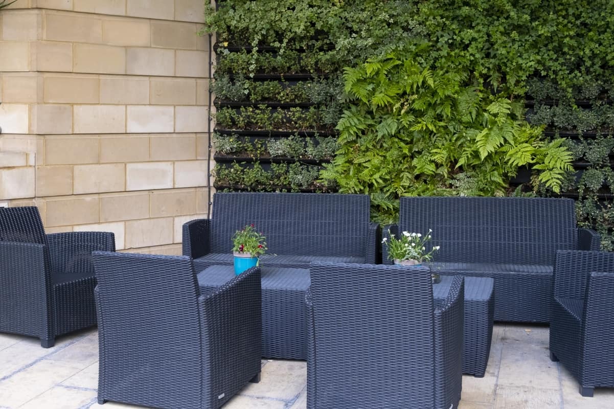 Small fern gardens: 10 design ideas for modest spaces – Fern Gardening