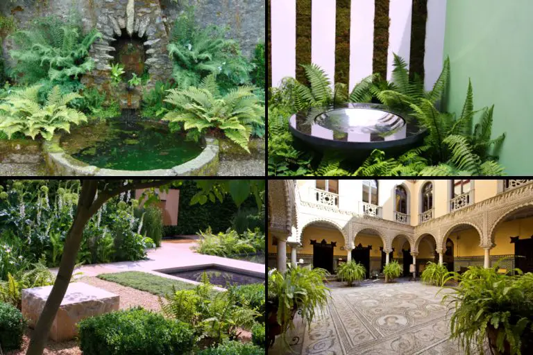 How to make a fern garden: the complete design guide – Fern Gardening